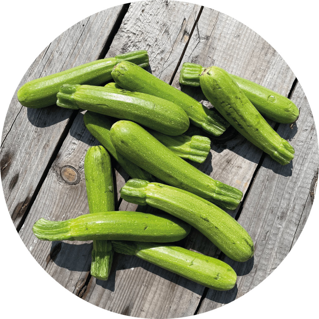 Mini-courgettes et poitrine fumée au barbecue – SOLER