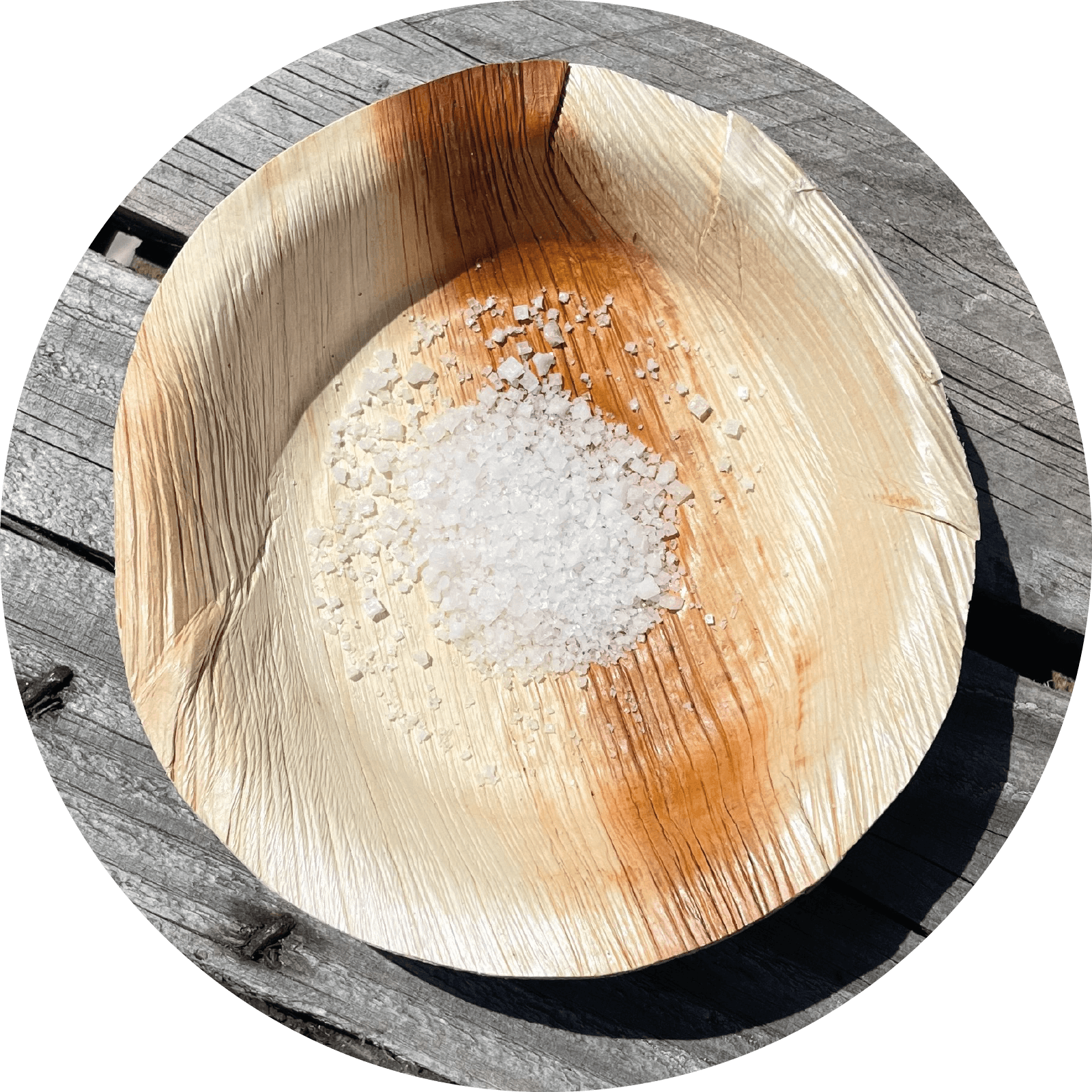 Côte de bœuf au barbecue – SOLER