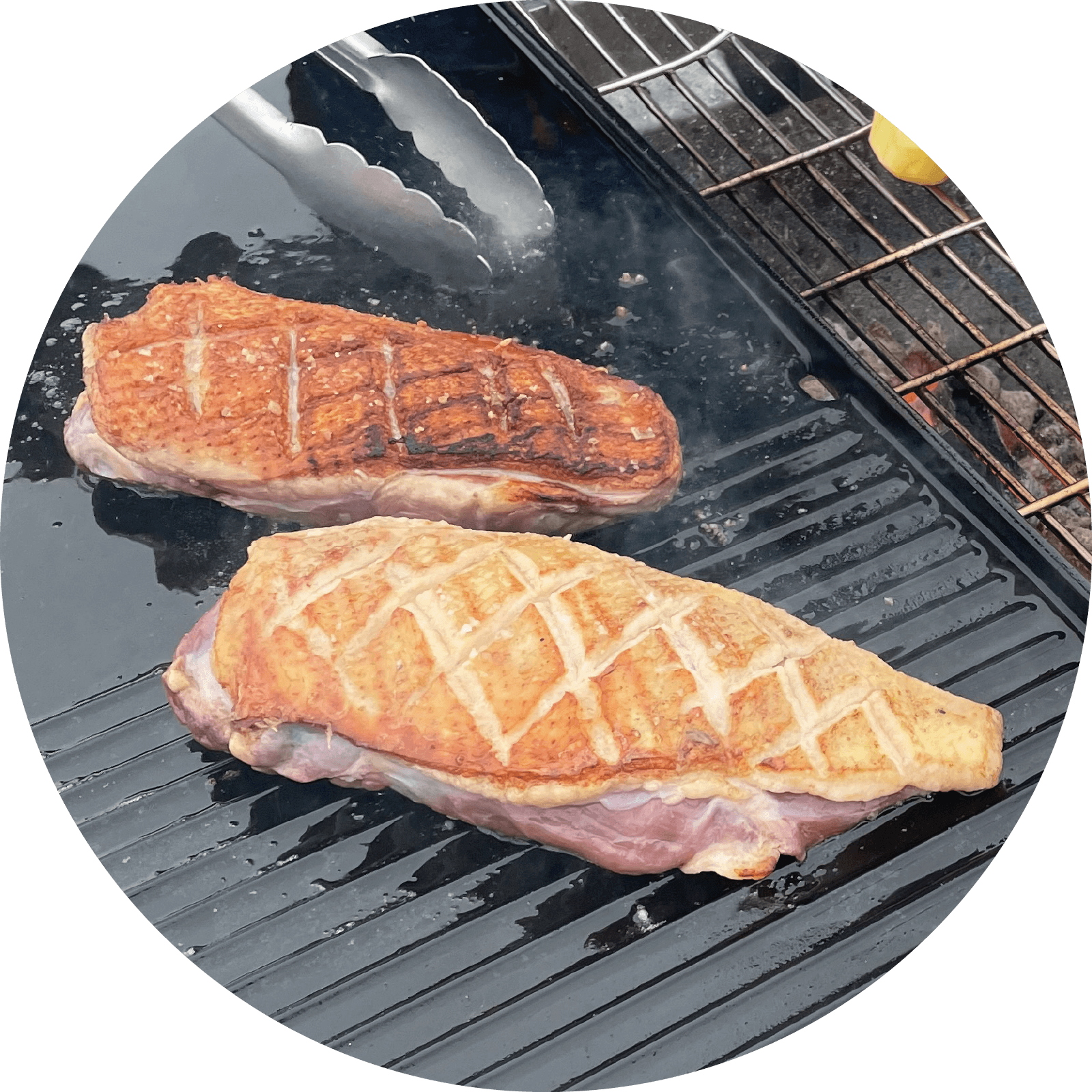 Magret de canard à la plancha – SOLER