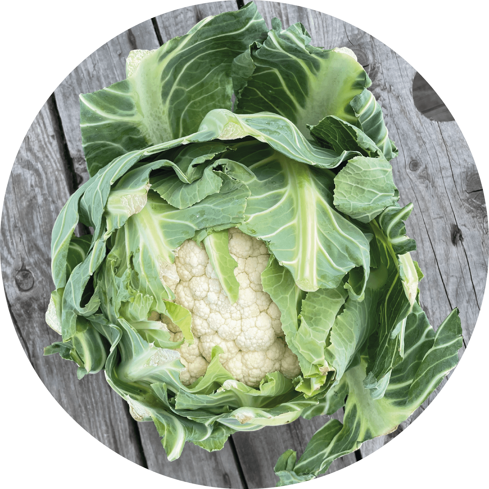 Chou-fleur rôti au barbecue – SOLER
