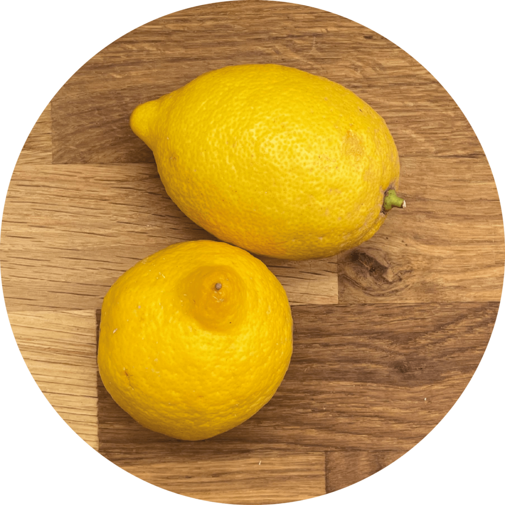 Filets de dorade aux tomates et olives au barbecue – SOLER