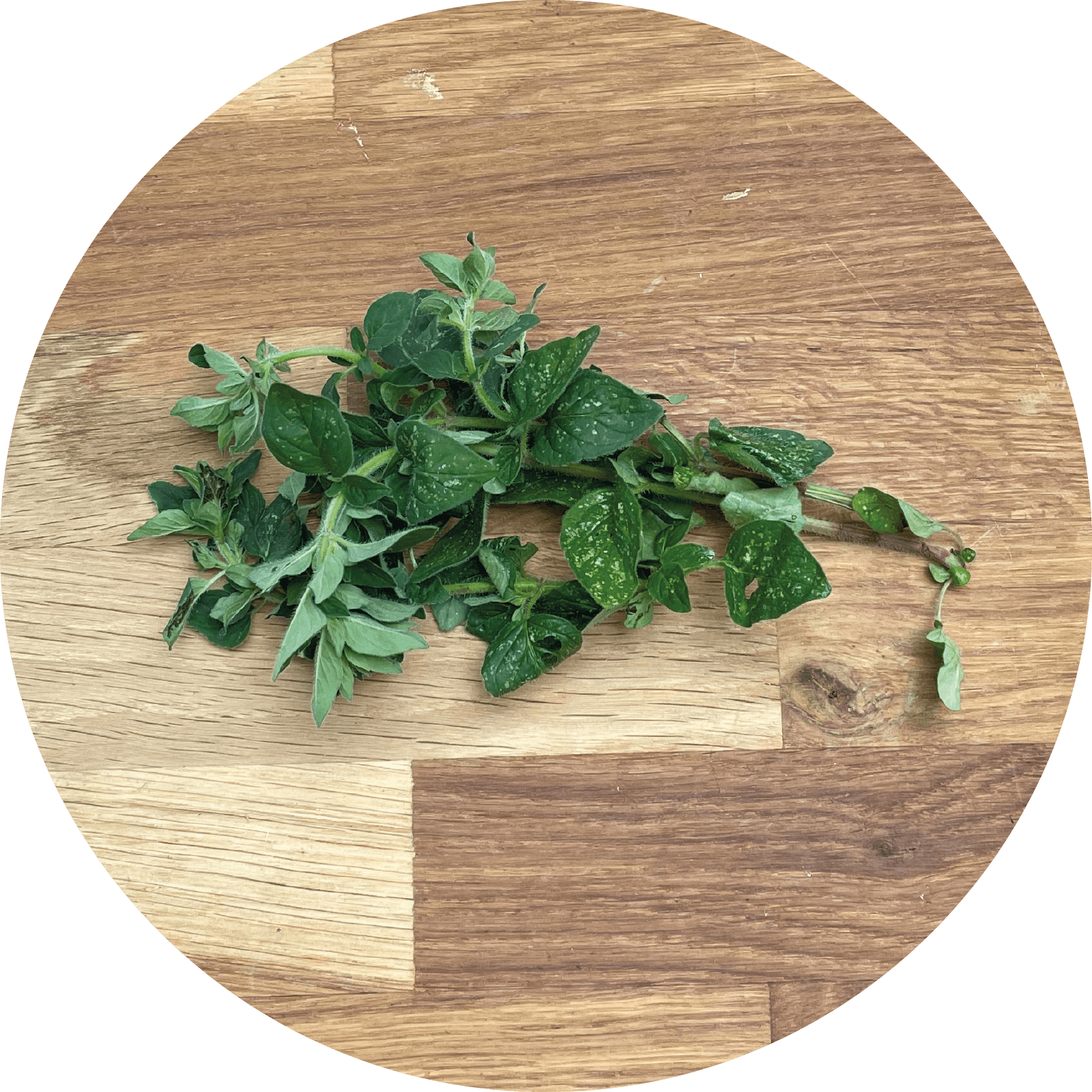 Filets de dorade aux tomates et olives au barbecue – SOLER